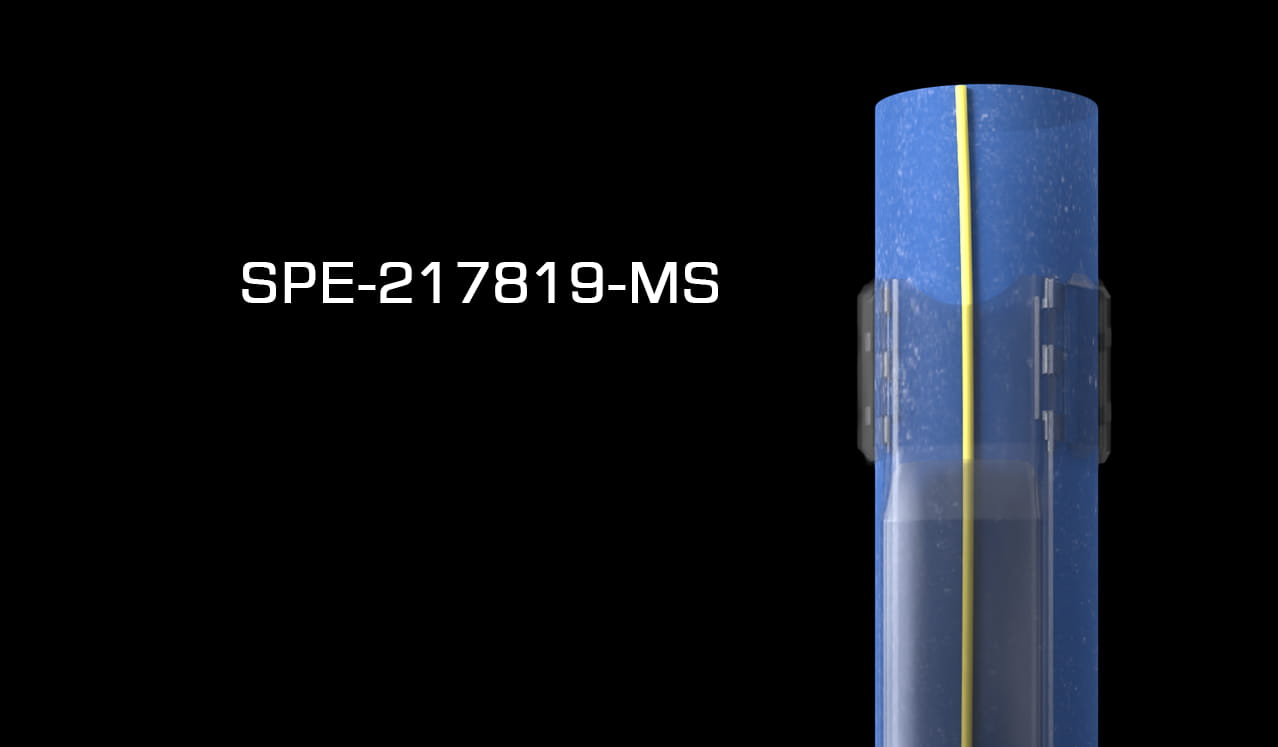 High-Resolution Acoustic Imaging Deployed for Mapping Permanent Fiber ...